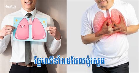 ផ្លែ ឈើ ទាំង ៥ ដែល ប៉ូវ សួត