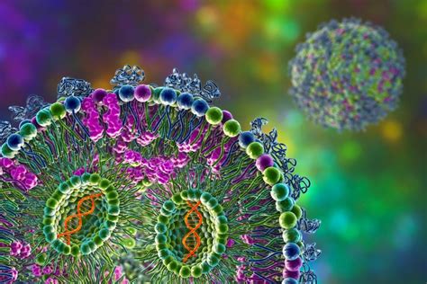 Studying MRNA Therapy Using Lipid Nanoparticle Technology Husband Info