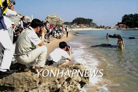 네이트 뉴스