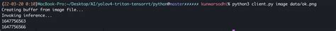 triton inference server taking adding 3 seconds to get yolov4 inference