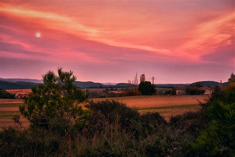 Planta De Campo Tarde Atardecer Fotos Gratis Paisaje árbol