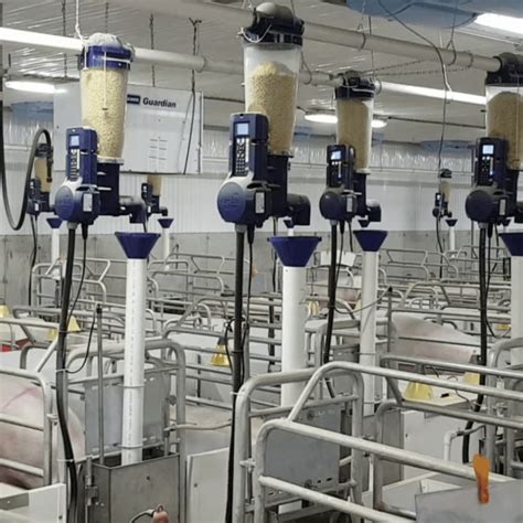 Gestal Solo Computerized Feeding System For Farrowing Sows Products Jyga Technologies