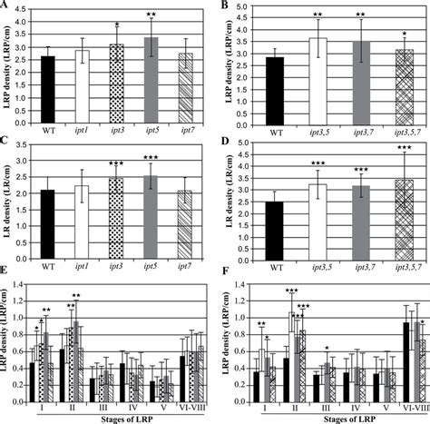 Lr Formation In Ipt Mutant Seedlings Lrp A And Lr C Density Of Download Scientific Diagram