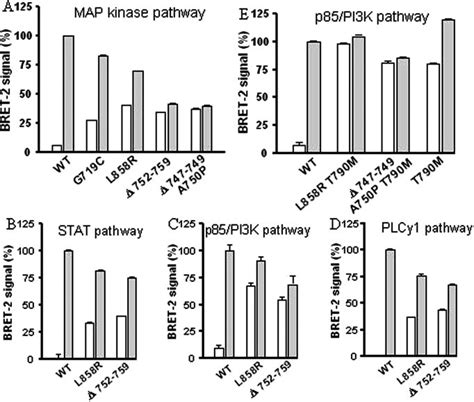 Differential Affects Of Somatic Egfr Mutations On Constitutive Egfr