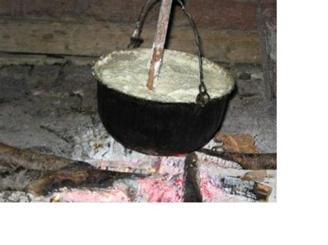 საცდელი პროექტი Elarji