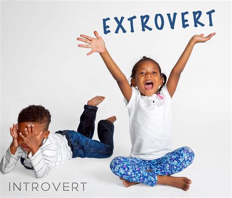 The Introvert Extrovert Spectrum Managing Introverts Energy To Boost