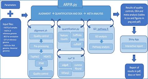 Arpir Automatic Rna Seq Pipelines With Interactive Report Rna Seq Blog
