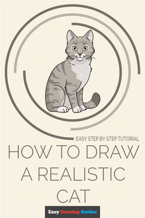 How To Draw A Realistic Cat