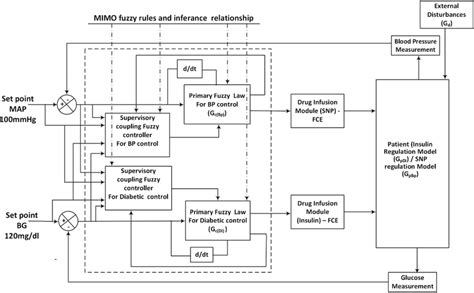 Schematic Demonstration Of Mimo Control Law Download Scientific Diagram