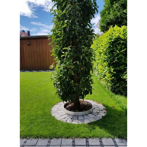 Trädring Av Aluminium Höjd 140 Mm Diameter 1 2 M Rabattkant