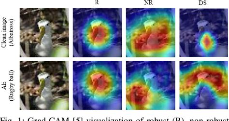 Figure 1 From Exploring Robust Features For Improving Adversarial Robustness Semantic Scholar