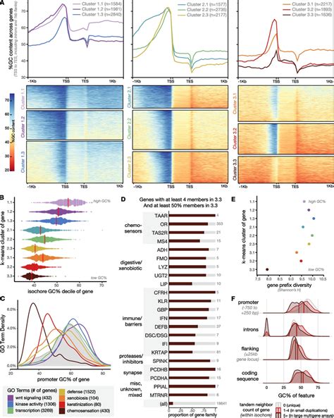 Genes With Outward Looking Functions Have High Local At Content A Gc
