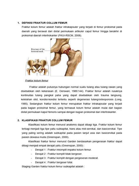 Klasifikasi Dan Definisi Fraktur Femur Pdf