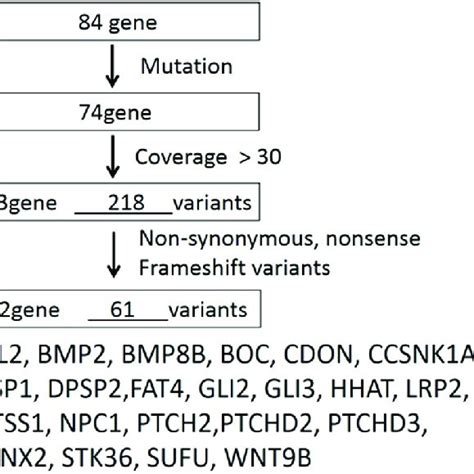 Flow Chart Indicating The Validation Process For Variants After The Download Scientific