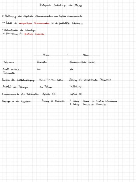 Biologische Bedeutung Meiose Pdf
