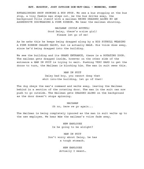 Write You A Fun Comedy Script By Rickkrijgsman Fiverr