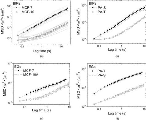 Intracellular Particle Tracking As A Tool For Tumor Cell Characterization