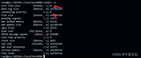 Core文件调试（gdb）gdb Core Csdn博客