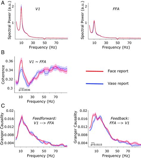 Prestimulus Meg Connectivity Is Predictive Of Upcoming Perceptual