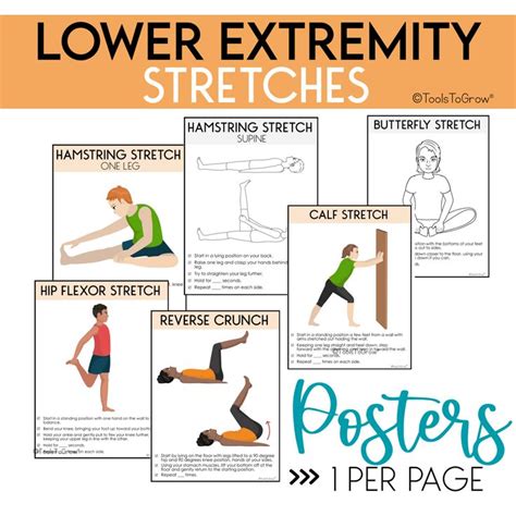 BUNDLE Lower Extremity AND Upper Extremity Strengthening Exercises