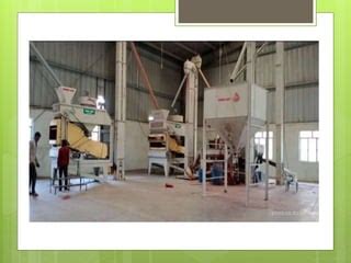 Seed Processing Principles And Movement And Steps In Seed Processing Copy Pptx Gardening