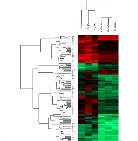 Unsupervised Hierarchical Clustering Of Lfq Values Of 100 Significantly
