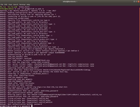 Linux Gitlab Requesting Password After Ssh Key Registered Stack