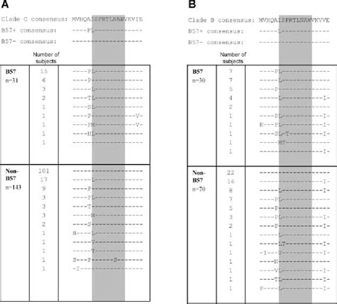 Figure 1 From Immune Selection For Altered Antigen Processing Leads To Cytotoxic T Lymphocyte