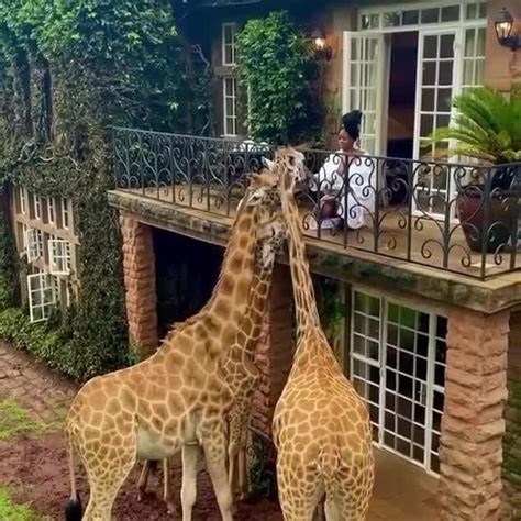 Երազում եմ հայտնվել այս հյուրանոցում Իսկ դուք գիտե՞ք այն որ երկրում է By Vardan Travel