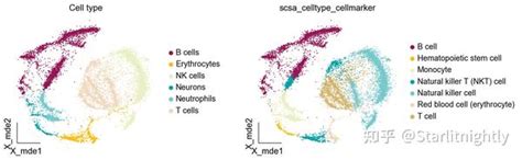 单细胞测序最好的教程(八) 基于marker的自动注释 知乎 单细胞测序最好的教程(八) 基于marker的自动注释 知乎