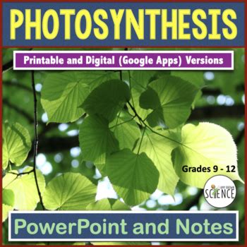 Photosynthesis Powerpoint And Notes By Amy Brown Science TPT