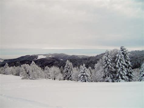 Harnessing Ai In C With Microsoftextensionsai Ollama And Mcp