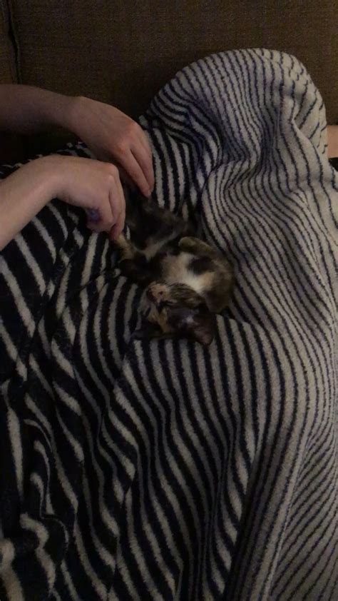 Getting Them Feeties R Torties