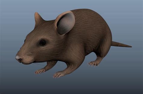 Animation 3danimation Rigging 3drigging Modeling 3dmodeling