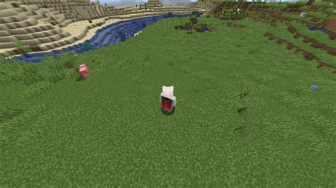Rendering Issue On ~116 Versions Rminecraft