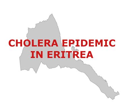 Reliable Sources From Eritrea Indicate A Cholera Epidemic Which Has Started In The Dembelas And