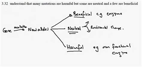 Numobs Biology 332 Types Of Mutation
