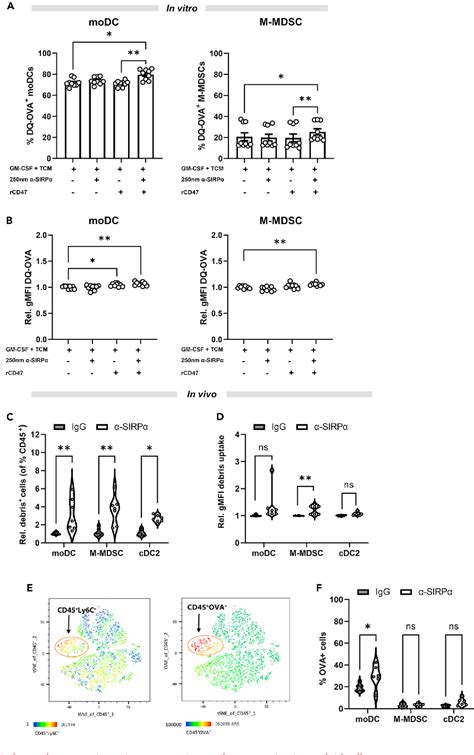 Figure 7 From Disruption Of Cd47 Sirpα Signaling Restores Inflammatory