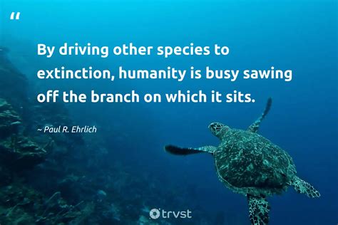 40 Biodiversity Quotes Celebrating And Protecting All Life