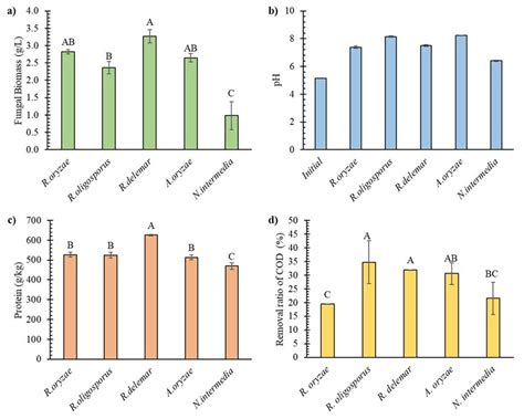 Fungal Biomass Production From Ppl Through Different Filamentous Fungal