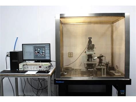 Olympus Electrophysiology Rig Led Fluorescence Microscope Bx51wi W