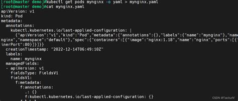 Yaml 资源配置清单使用详解——k8s声明式资源管理kubectl查看yaml文件 Csdn博客