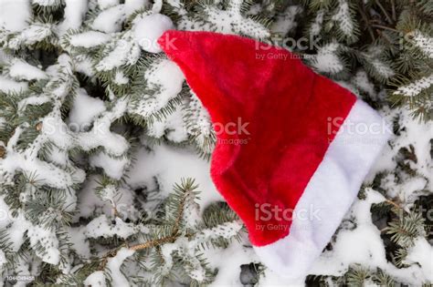 자연 눈 덮힌 전나무의 분 지에 빨간 산타 클로스 모자 크리스마스의 최소한의 개념은 0명에 대한 스톡 사진 및 기타 이미지 0명 겨울 계절 Istock