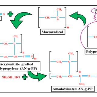 Probable Reaction Mechanism For Grafting Of AN On To The Waste PP Download Scientific Diagram