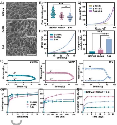 Figure 2 From A Dual Cross Linked Hydrogel Patch For Promoting Diabetic
