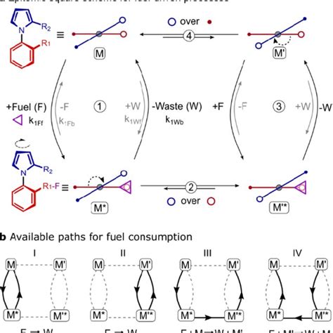 Square Reaction Network For A Fuel Driven Process A Epitomic