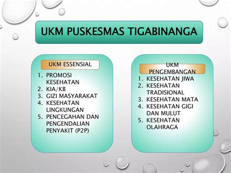Ppt Ukm Akreditasippt