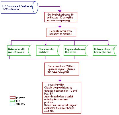 PromoterAnalysis Tools