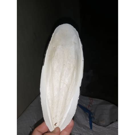 Cuttlebones For Birds Shopee Philippines