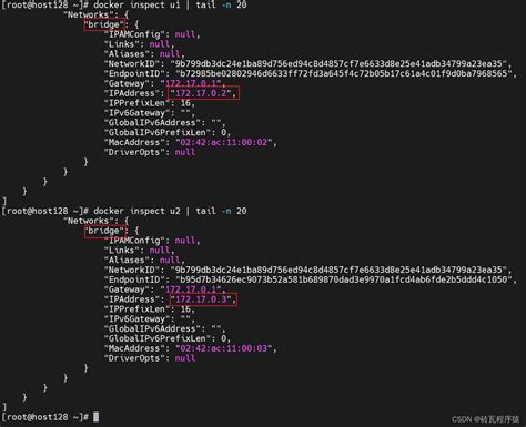 十一、docker网络（docker Network）docker 网络 Csdn博客